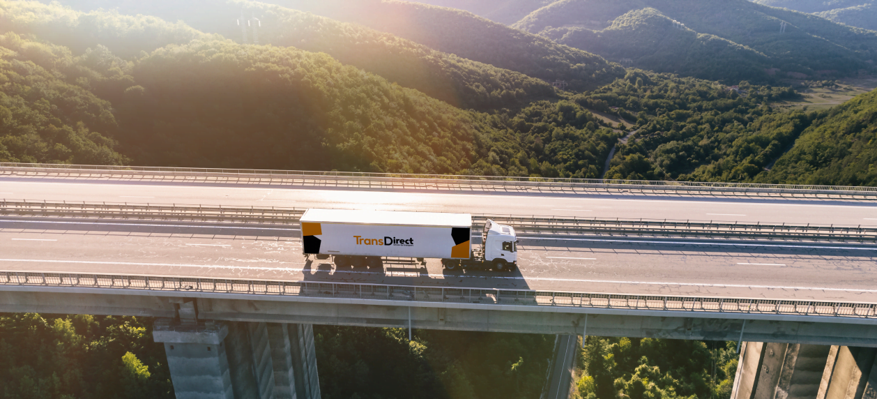 Remes - Case: TransDirect