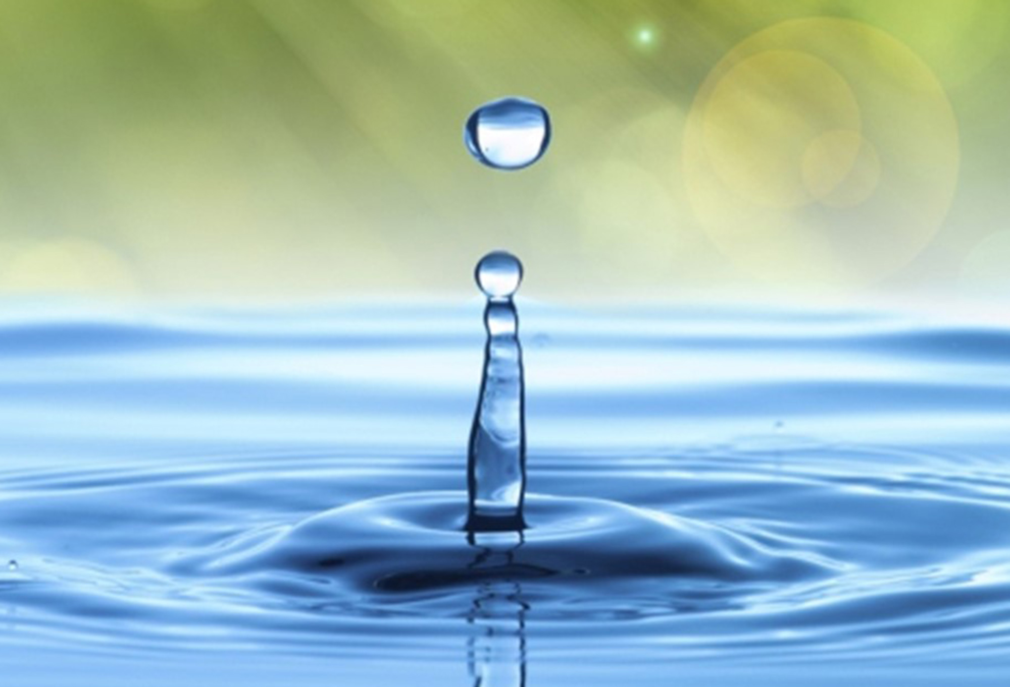 Using Statistics to Save the Environment by Mahshid Golzar - Access Ed