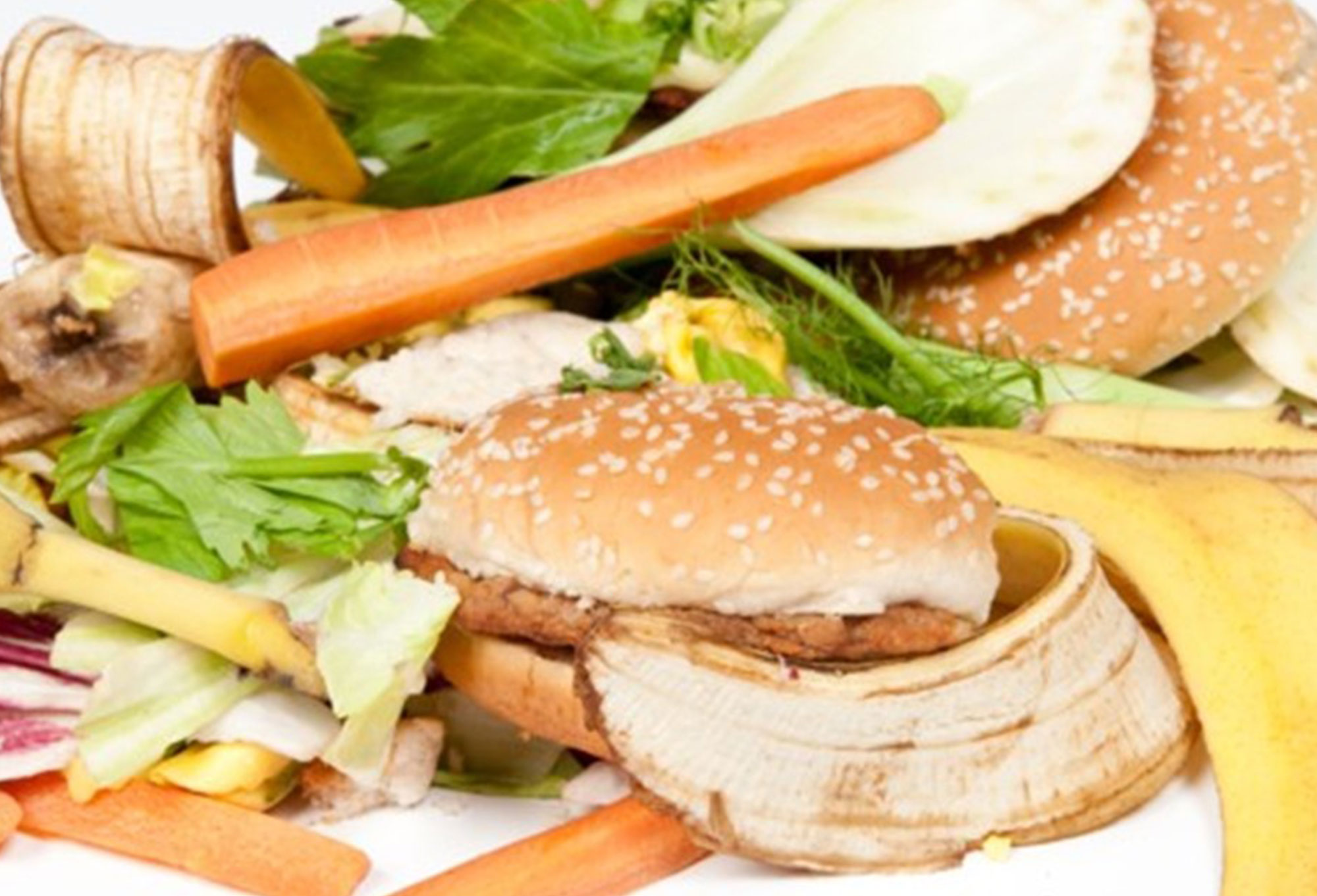 Renewable Electricity from Food Waste by Nimra Shahab - Access Ed