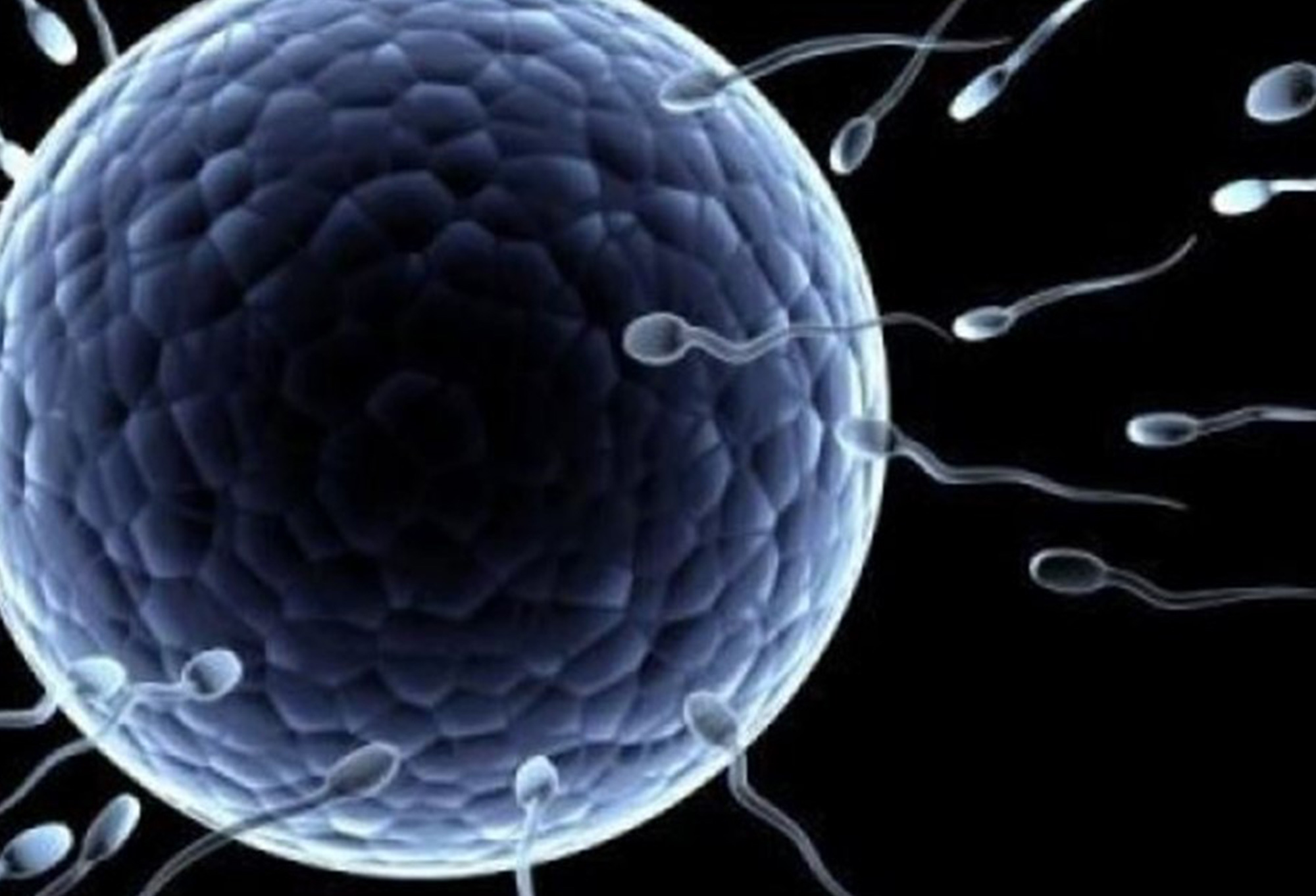 Reproductive Biology by - Access Ed