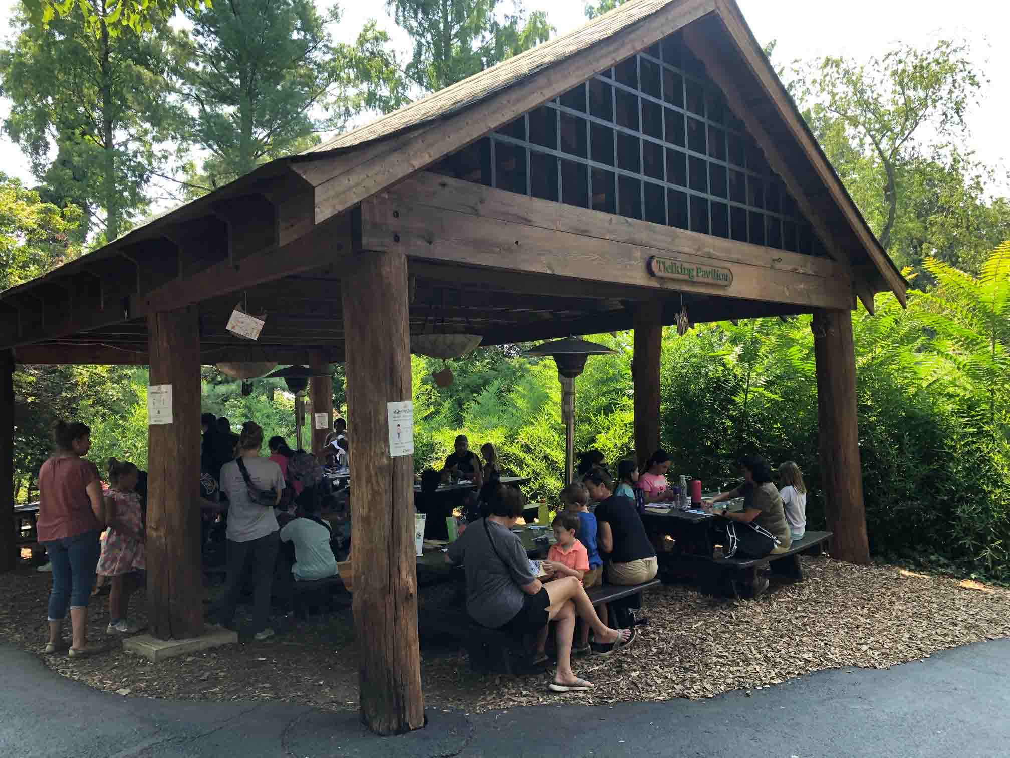 Camps | Mill Mountain Zoo | Non-Profit Conservation Zoo in Roanoke, VA ...