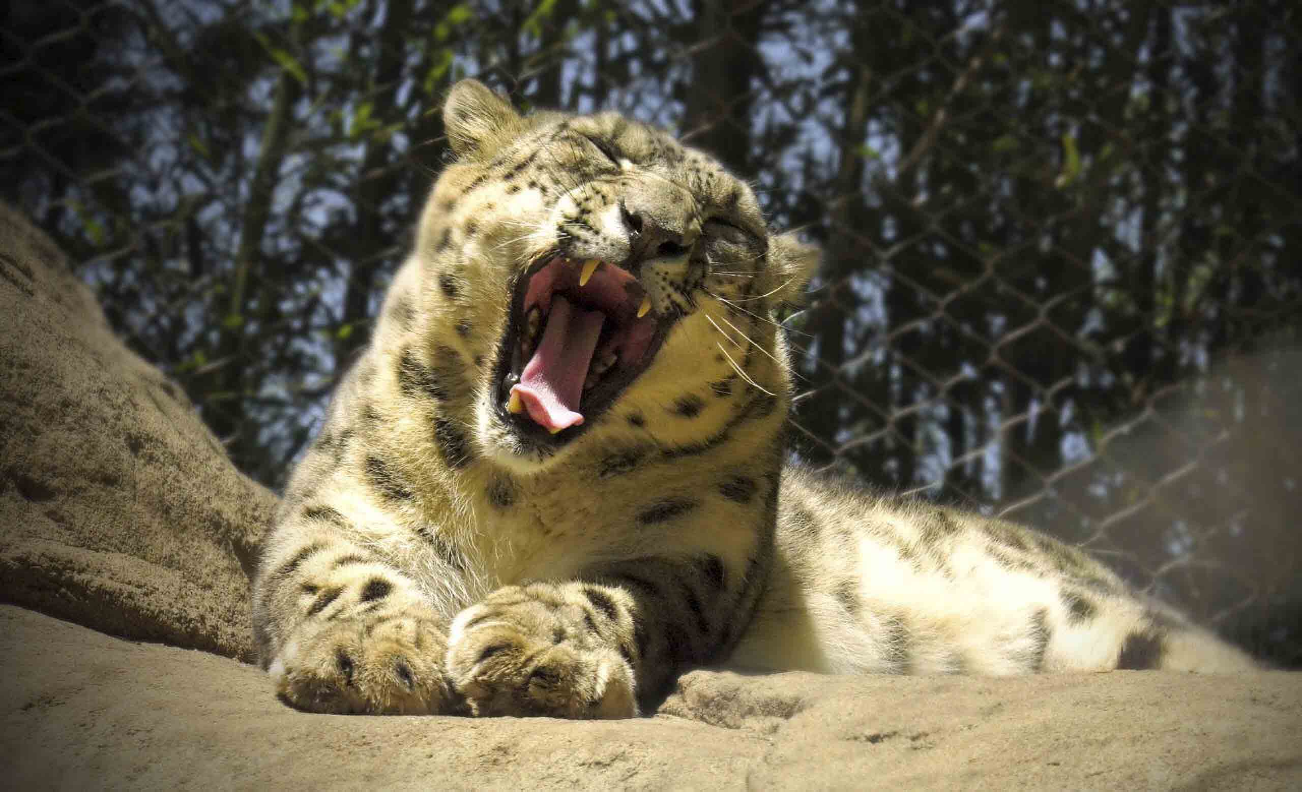 Plan Your Visit | Mill Mountain Zoo | Non-Profit Conservation Zoo in ...