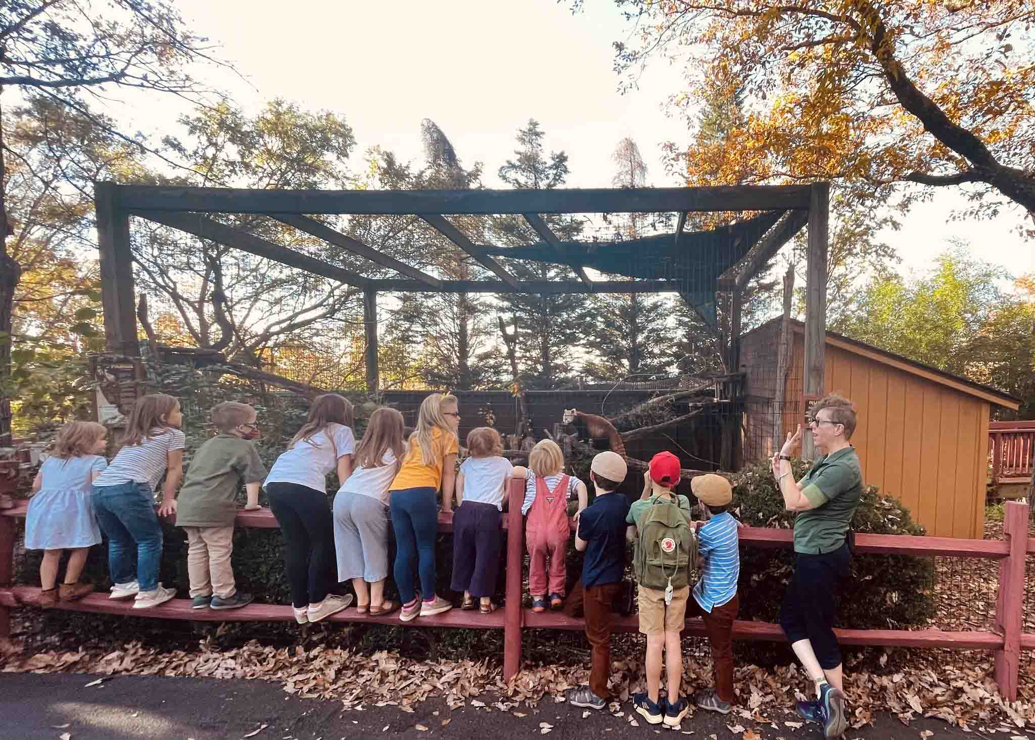 History | Mill Mountain Zoo | Non-Profit Conservation Zoo in Roanoke ...