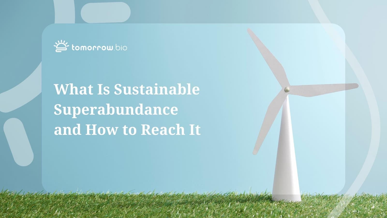 What Is Sustainable Superabundance and How to Reach It