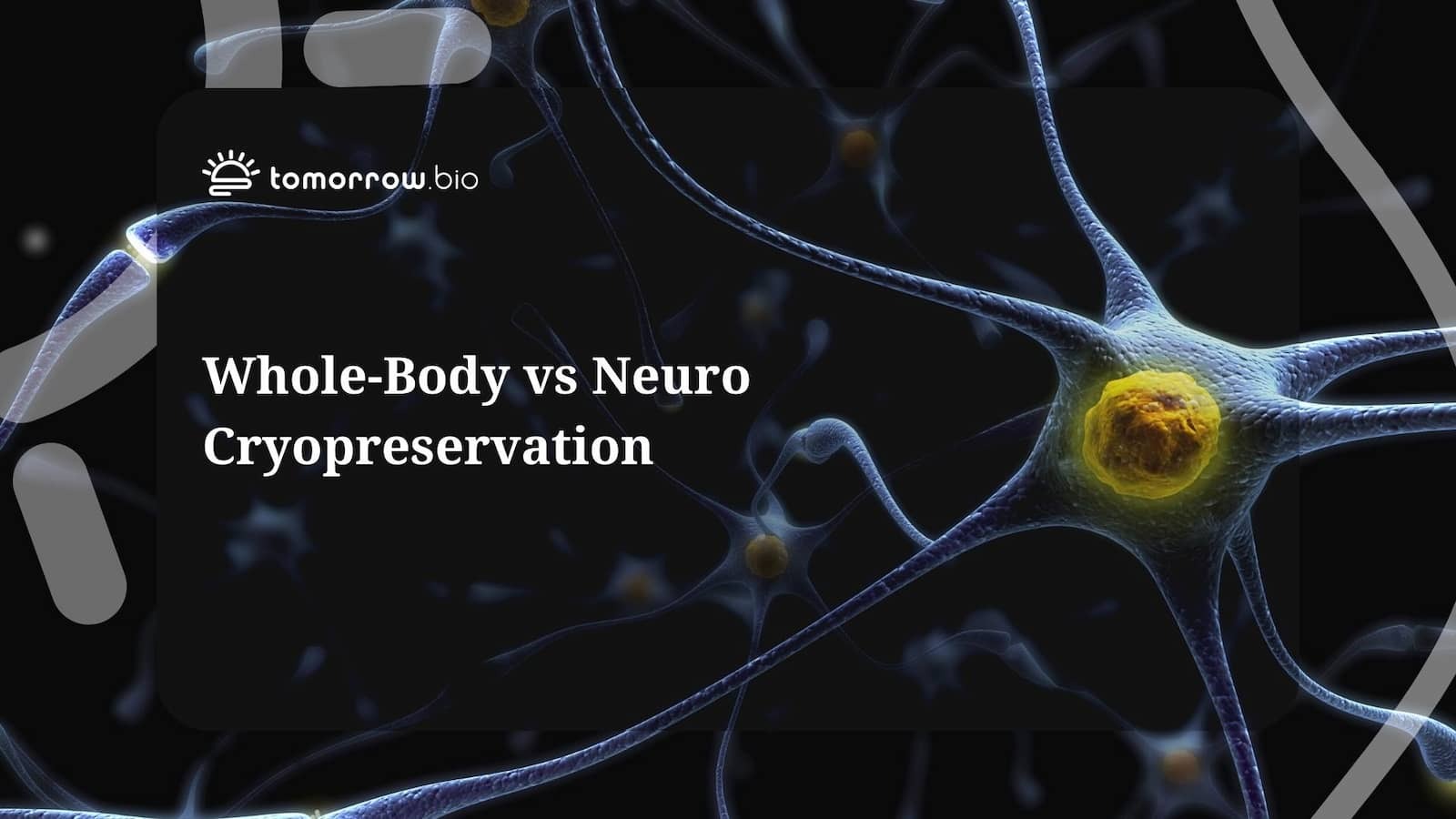 Whole-Body vs Neuro Cryopreservation