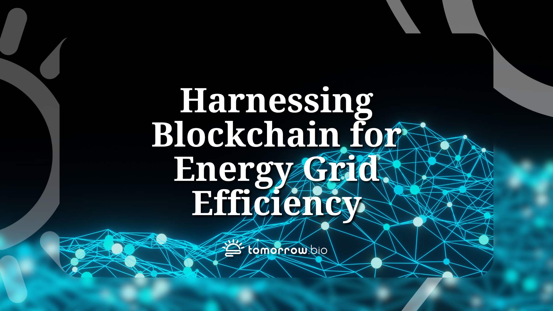 Harnessing Blockchain for Energy Grid Efficiency