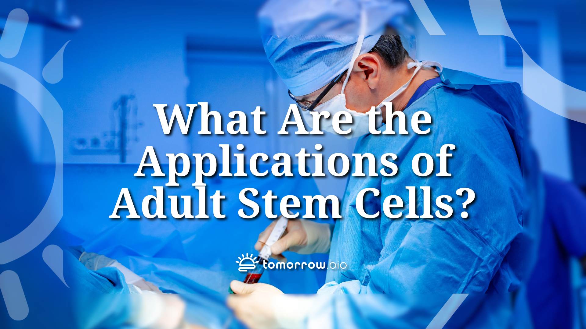 What Are the Applications of Adult Stem Cells?