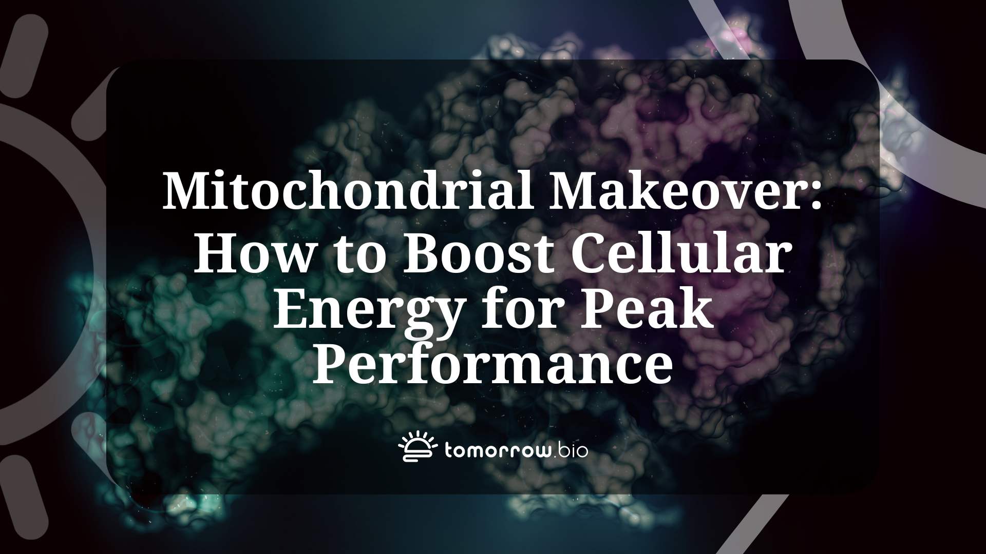 Mitochondrial Makeover: How to Boost Cellular Energy for Peak Performance