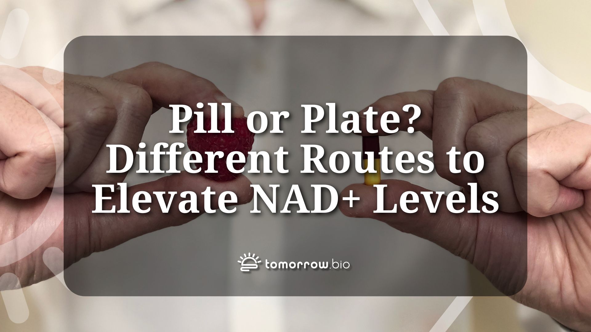 Pill or Plate? Different Routes to Elevate NAD+ Levels
