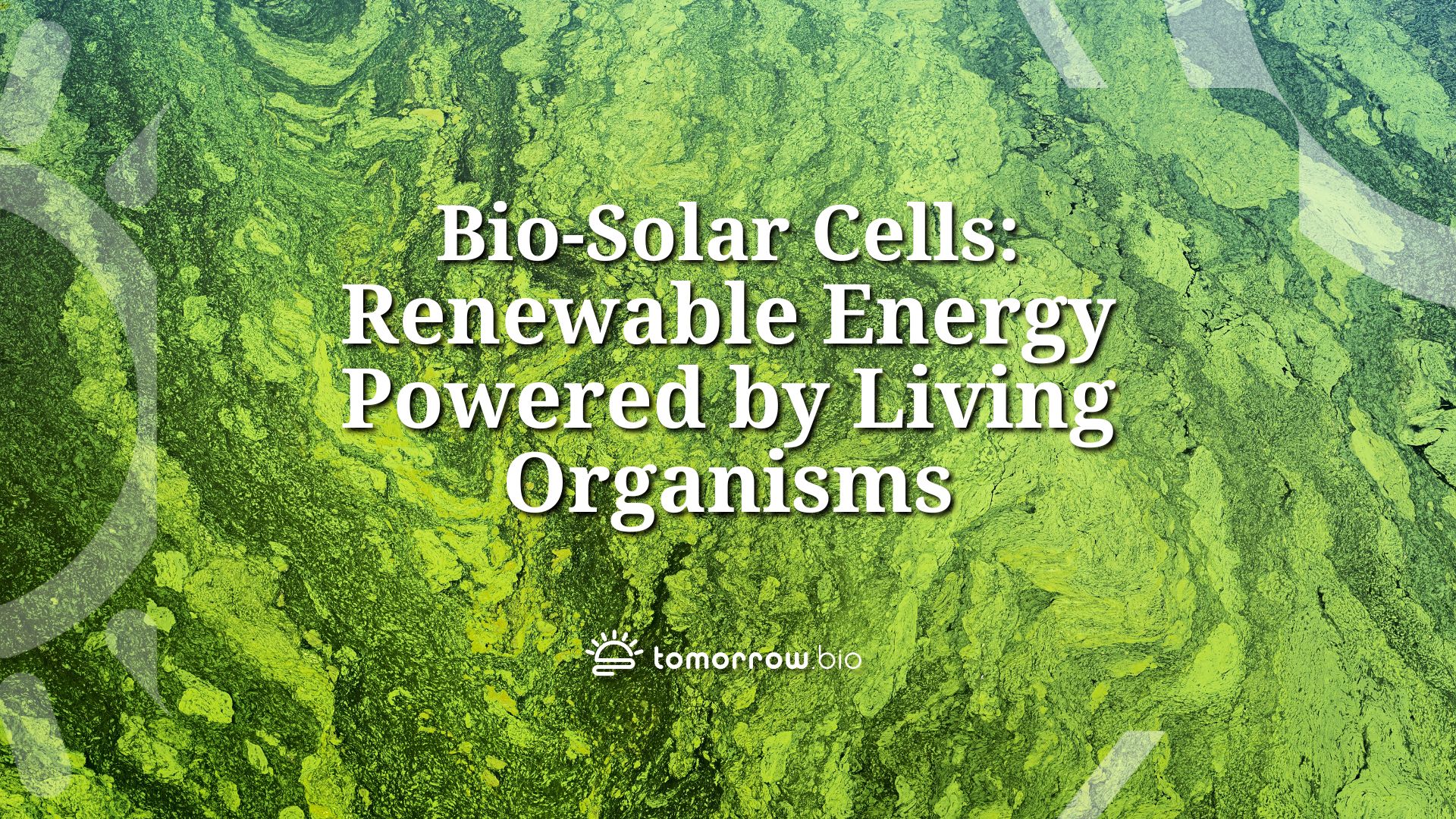 Bio-Solar Cells: Renewable Energy Powered by Living Organisms