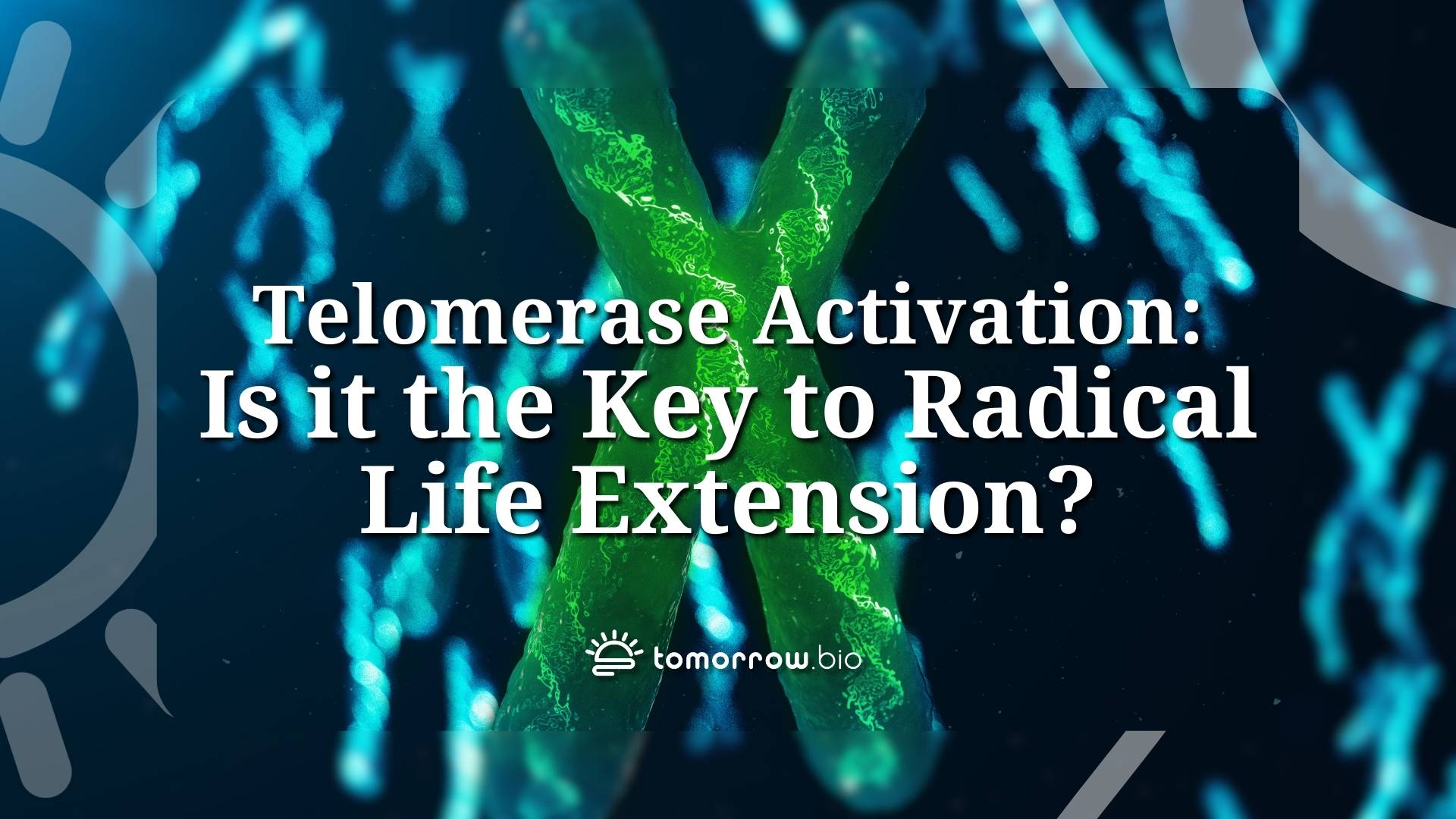 Telomerase Activation: Is it the Key to Radical Life Extension?