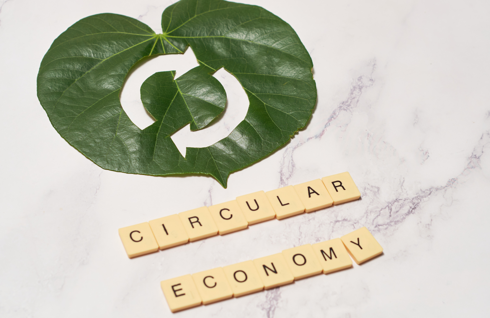 The Role of Geothermal Energy in Circular Economy Models: Waste Heat ...