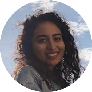 How to GET invoices in JSON from the Netsuite SOAP API using Python