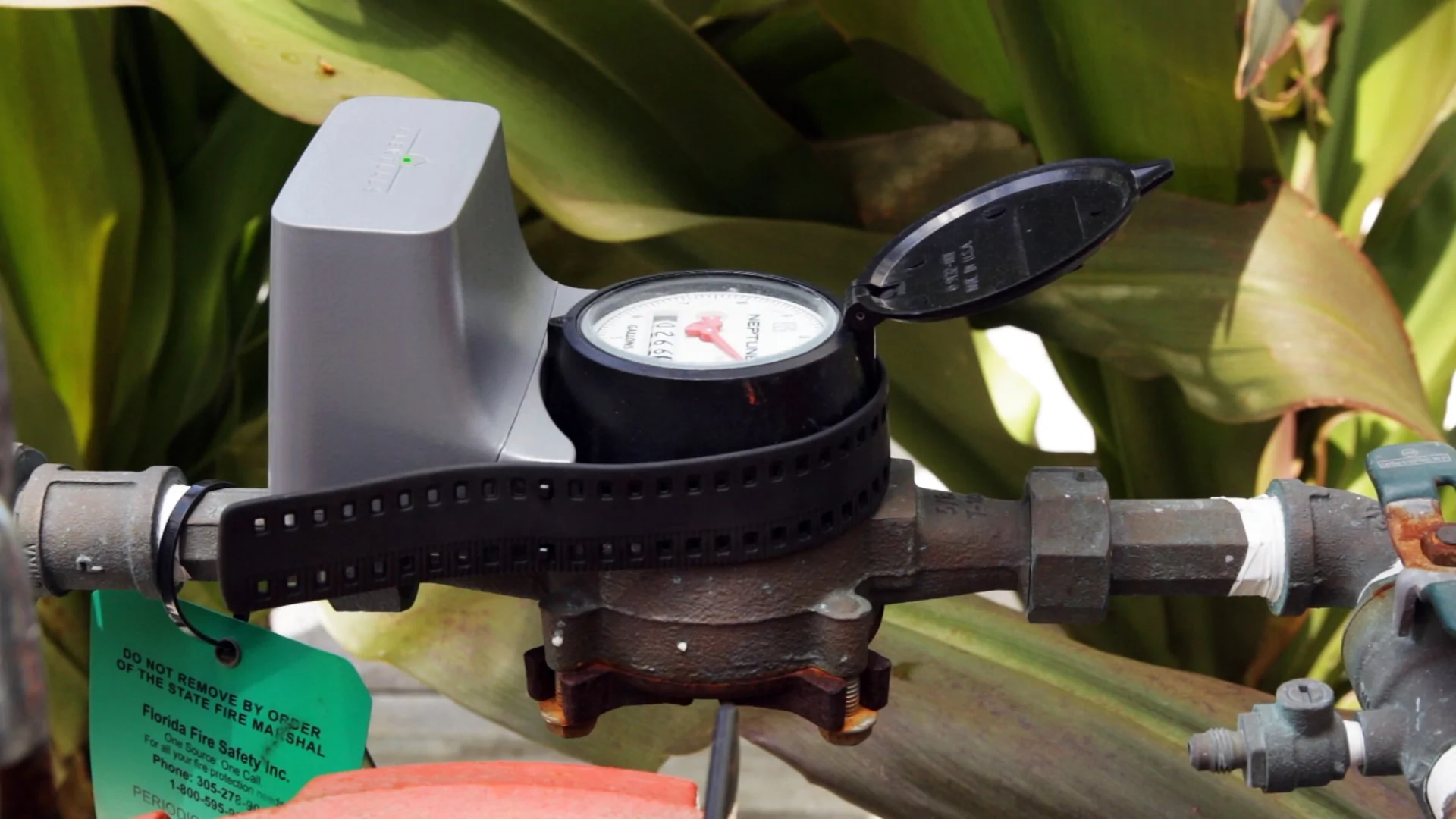 Water Flow Sensor