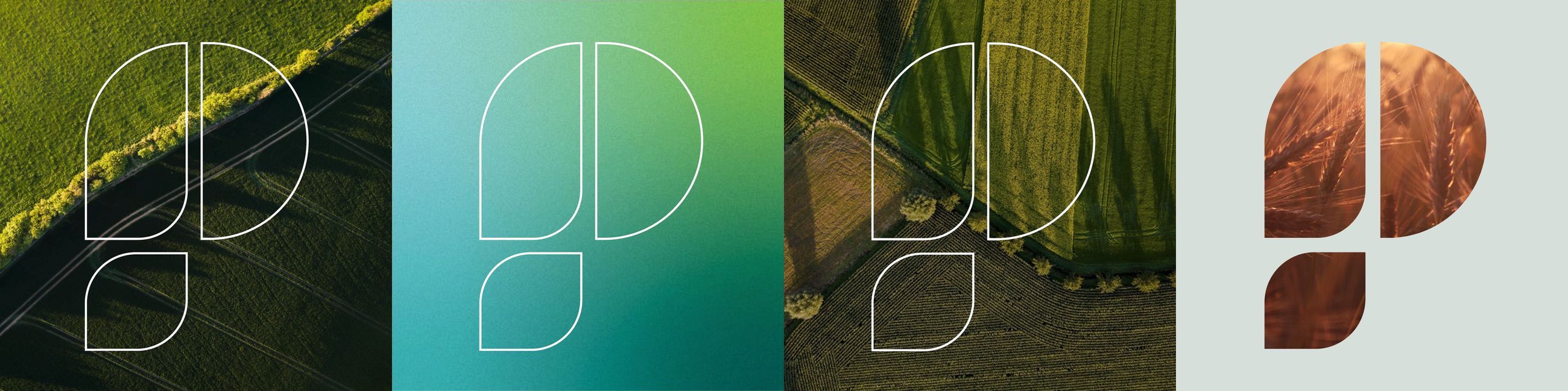 The Story Behind the Perennial Brand