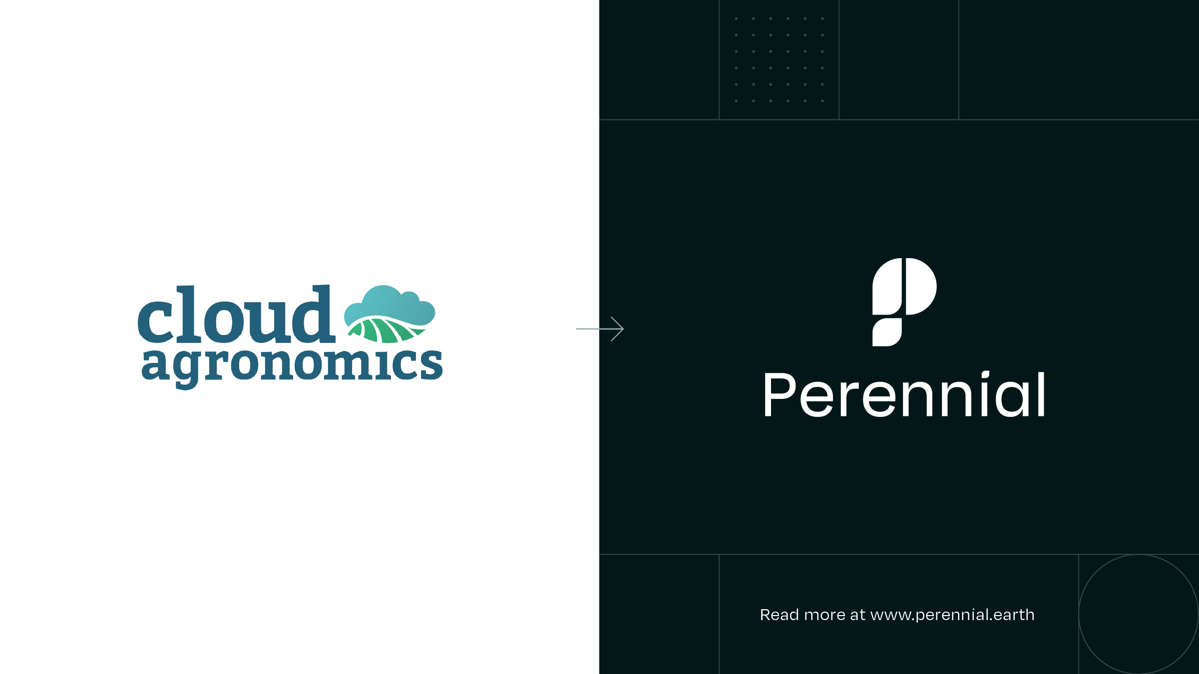 The Story Behind the Perennial Brand