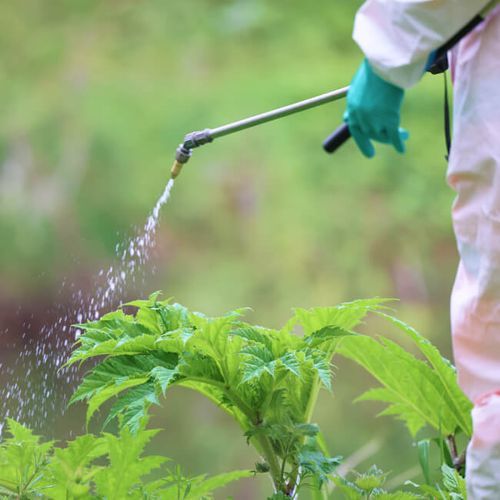 Tailored INNS treatment and management plans