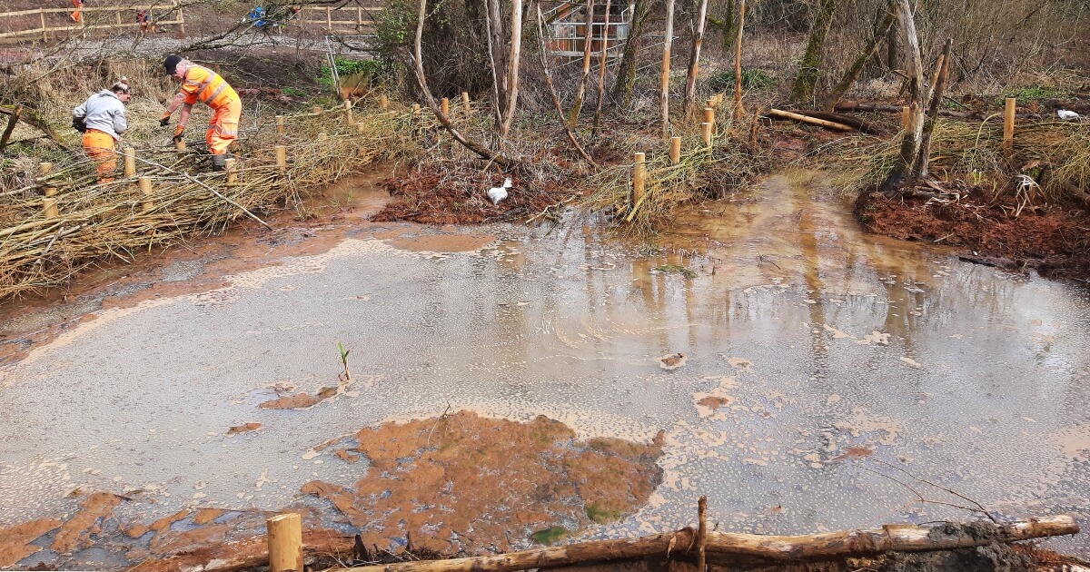 Wetland restoration at Shire Brook Valley Nature Reserve