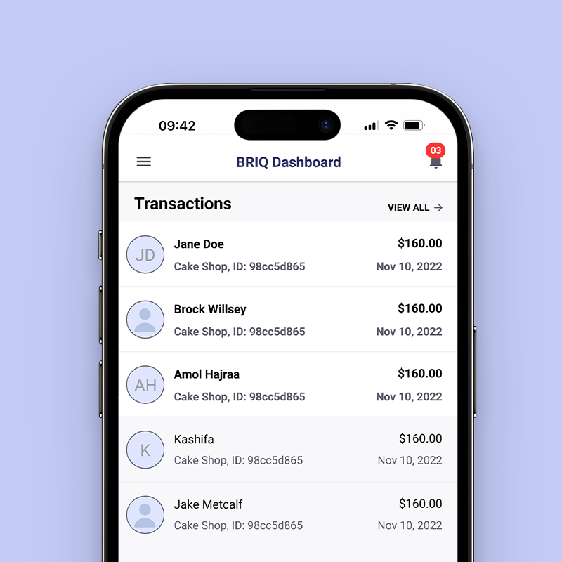 Briq Mobile App Support | Briq