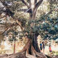 Natural History Clubs