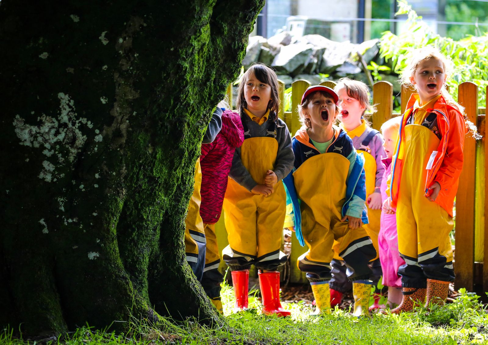 12 Nature Walks (Tree Themed) | Charlotte Mason Institute