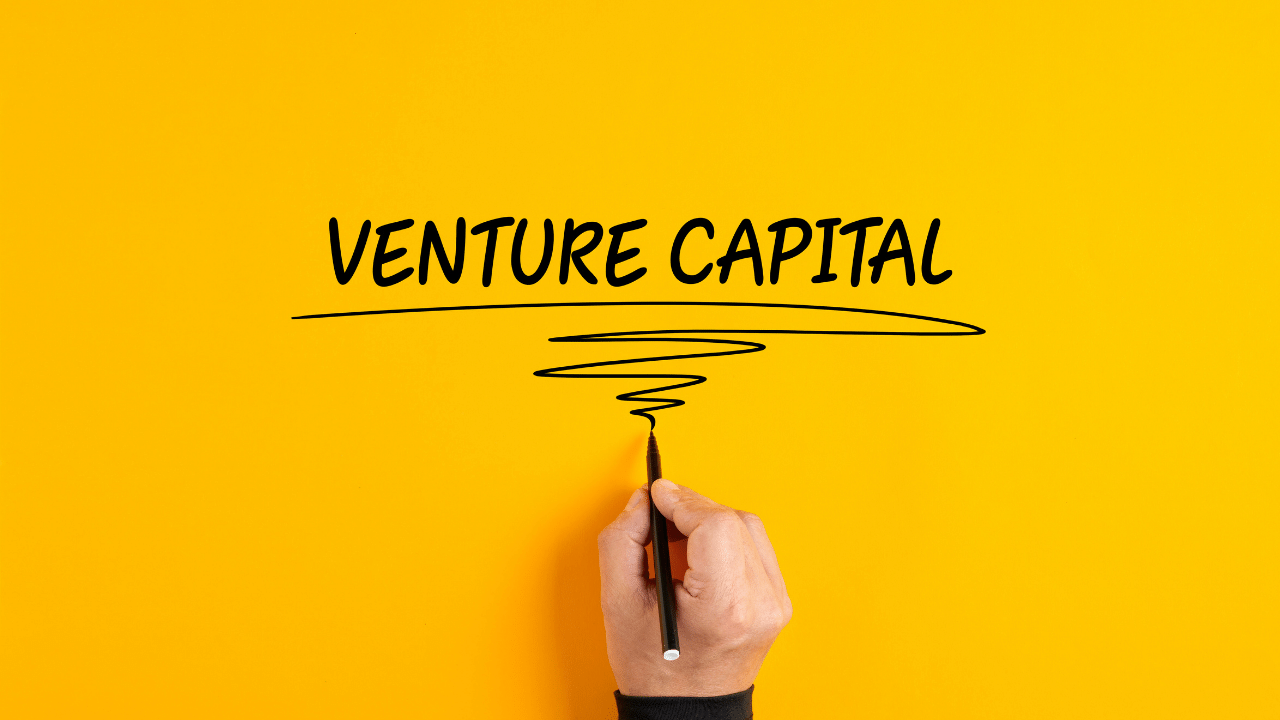 Pros and Cons of Venture Capital: Is it Right for Your Startup? - Ratio ...