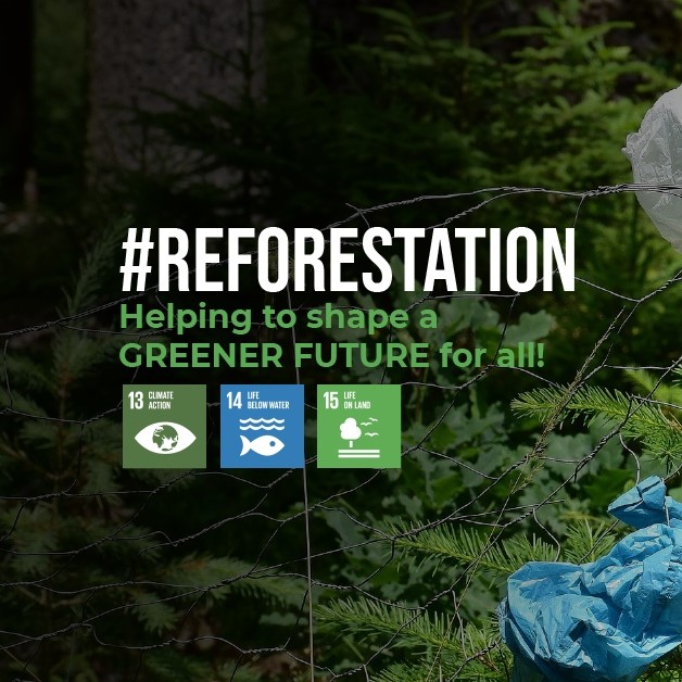 Forest Interactive Promotes Environmental Sustainability Through Its # ...