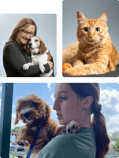 Careers - PetScreening