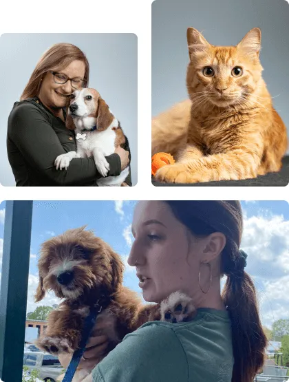 Careers - PetScreening