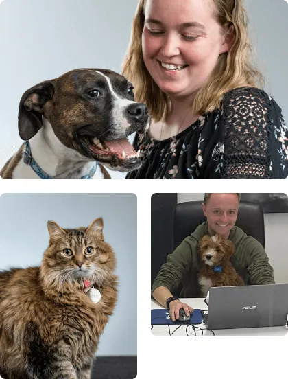 Careers - PetScreening