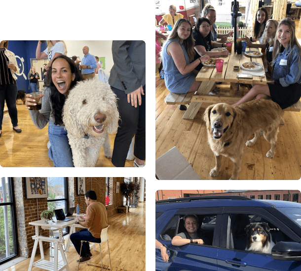 Careers - PetScreening