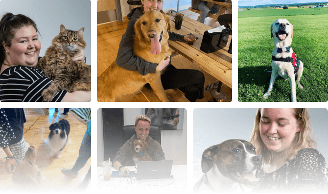 Careers - PetScreening