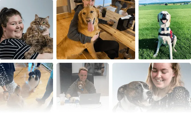 Careers - PetScreening