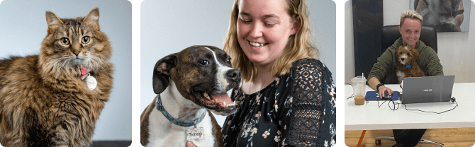 Careers - PetScreening