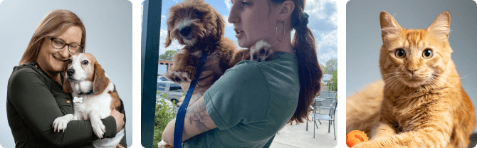 Careers - PetScreening