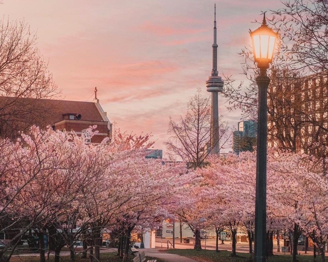 Free Things to Do in Toronto This April That You Don’t Want to Miss!