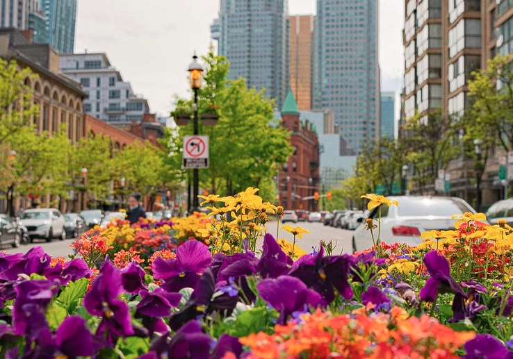 Your Go-To for All Toronto Events | Local and Global Entertainment