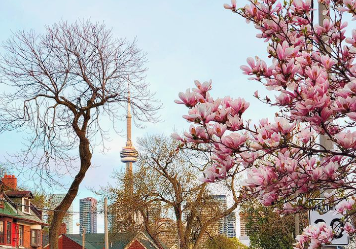 Your Go-To for All Toronto Events | Local and Global Entertainment