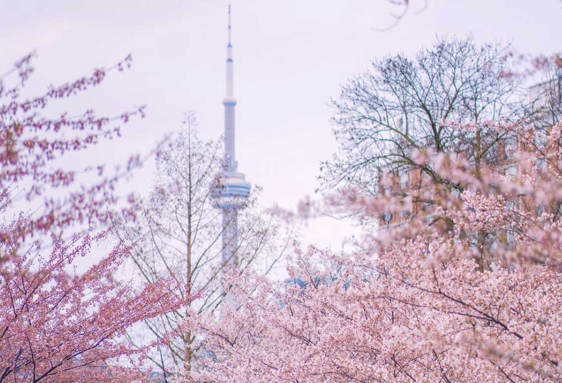 Toronto April Events: Your Guide to the Best Happenings