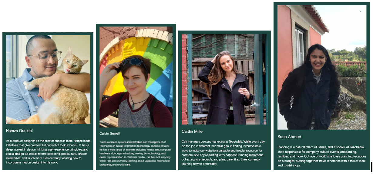Professional Biography Template