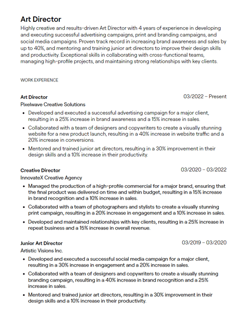 3+ Art Director Resume Examples [with Guidance]