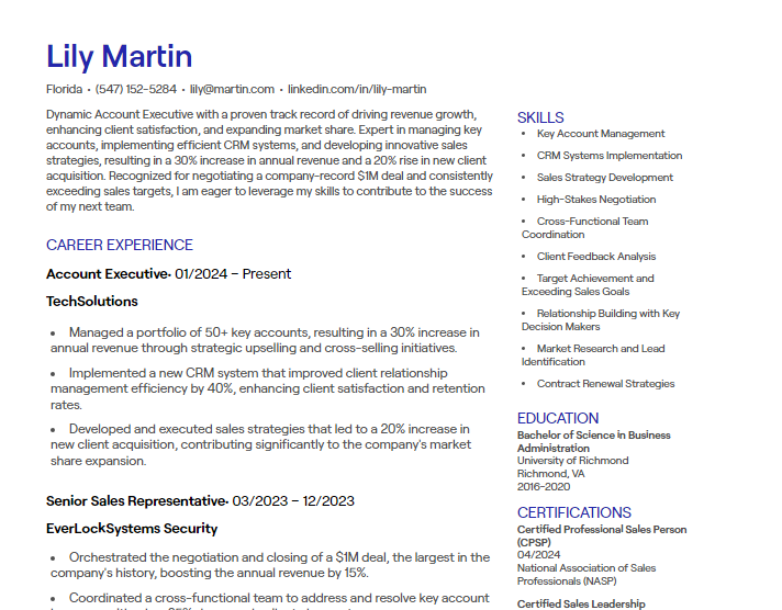 7 Account Executive CV Examples [+ Free Templates]