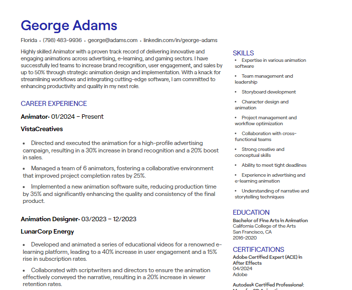 6 Animator Cv Examples [ Free Templates]