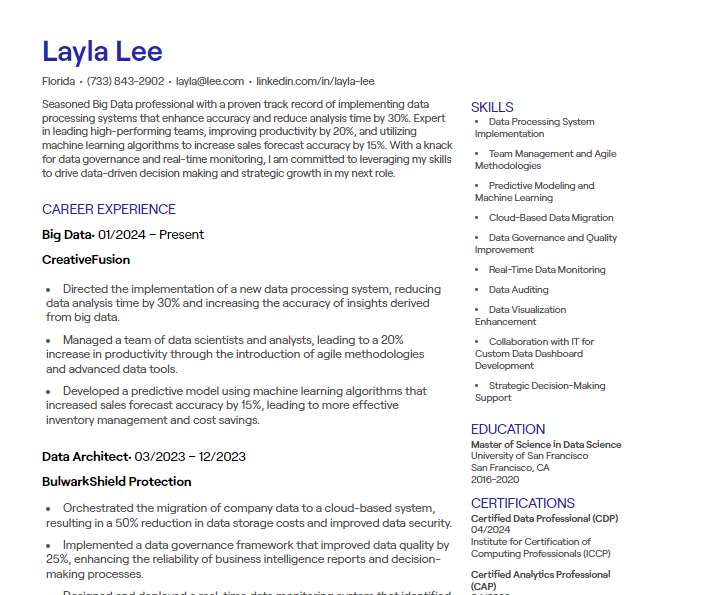 3 Big Data CV Examples [+ Free Templates]