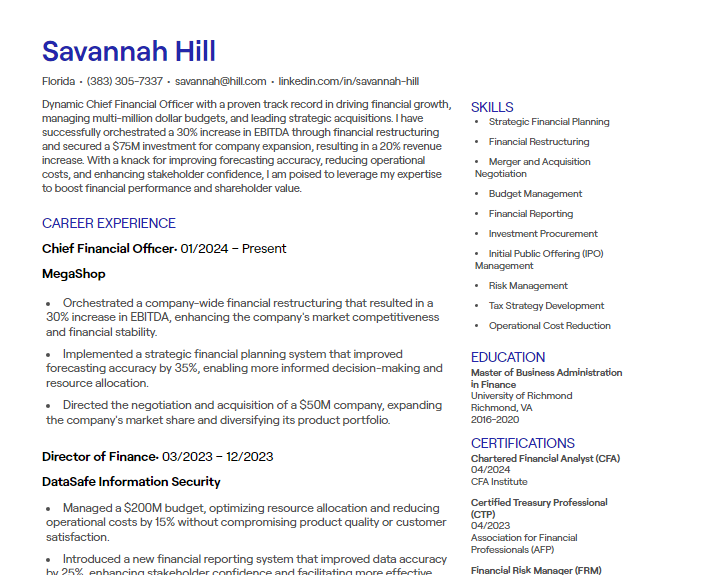 1 Chief Financial Officer CV Examples [+ Free Templates]