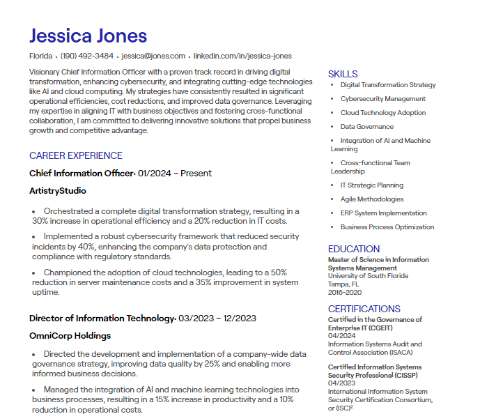 1 Chief Information Officer CV Examples [+ Free Templates]