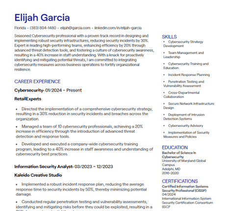 6 Cybersecurity CV Examples [+ Free Templates]