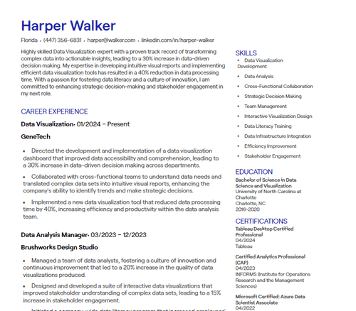 5 Data Visualization CV Examples [+ Free Templates]