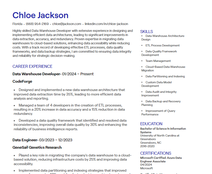 2 Data Warehouse Developer CV Examples [+ Free Templates]