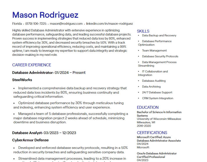 3 Database Administrator CV Examples [+ Free Templates]